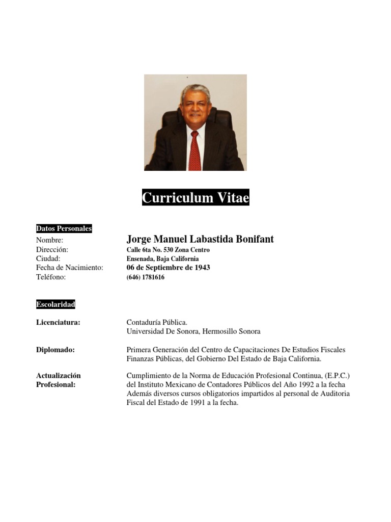 CV Jorge Labastida: Experto en Contaduría y Auditoría | PDF | Contador ...