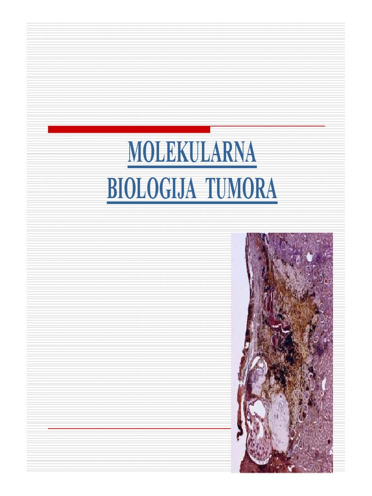 Molekularna Biologija Tumora | PDF