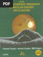 Ocular Fundus Drawing | PDF | Retina | Human Eye