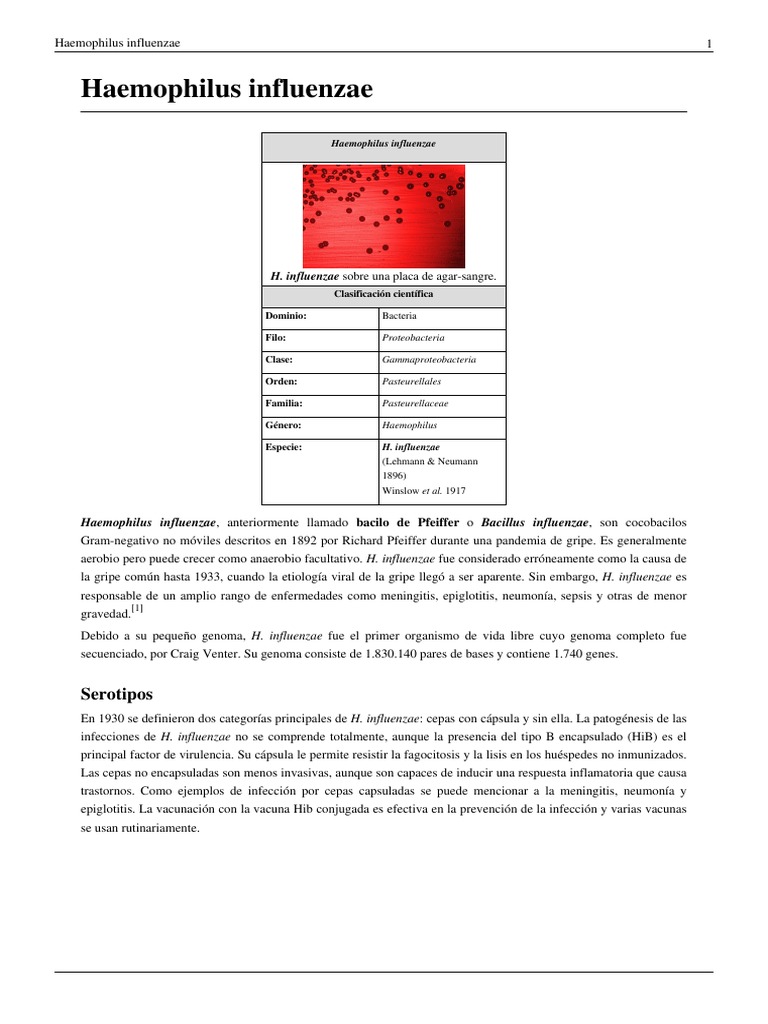 Haemophilus Influenzae PDF | PDF | Medicina CLINICA | Inmunología