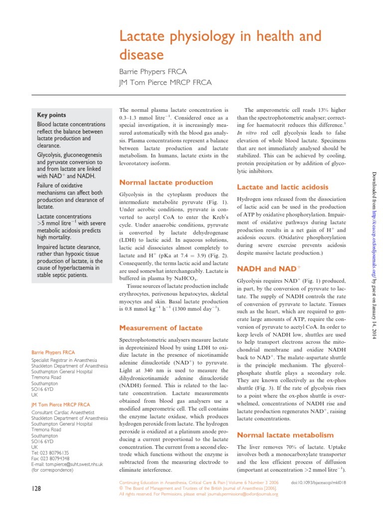 Lactate Physiology | PDF | Glycolysis | Lactic Acid