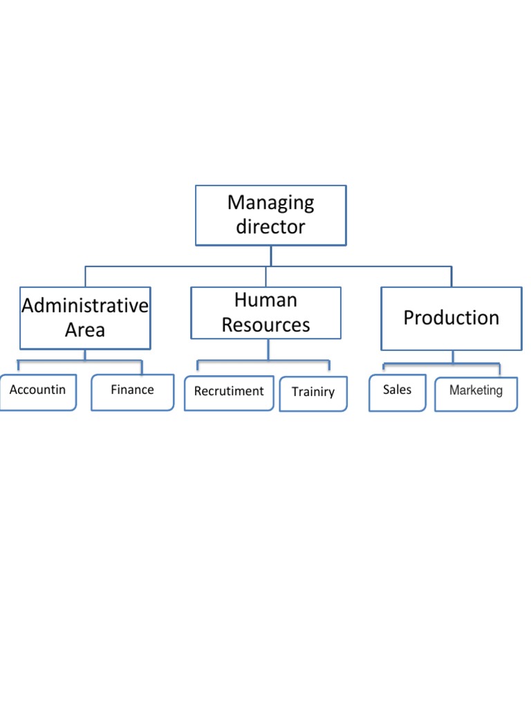 Managing Director Responsibilities Overview | PDF | Business | Finance ...