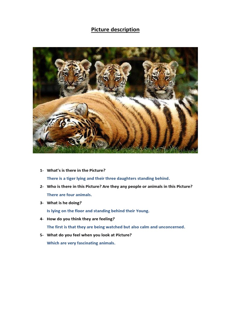 Picture Description | PDF