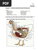 Digestive System of Goats | PDF | Ruminant | Digestion