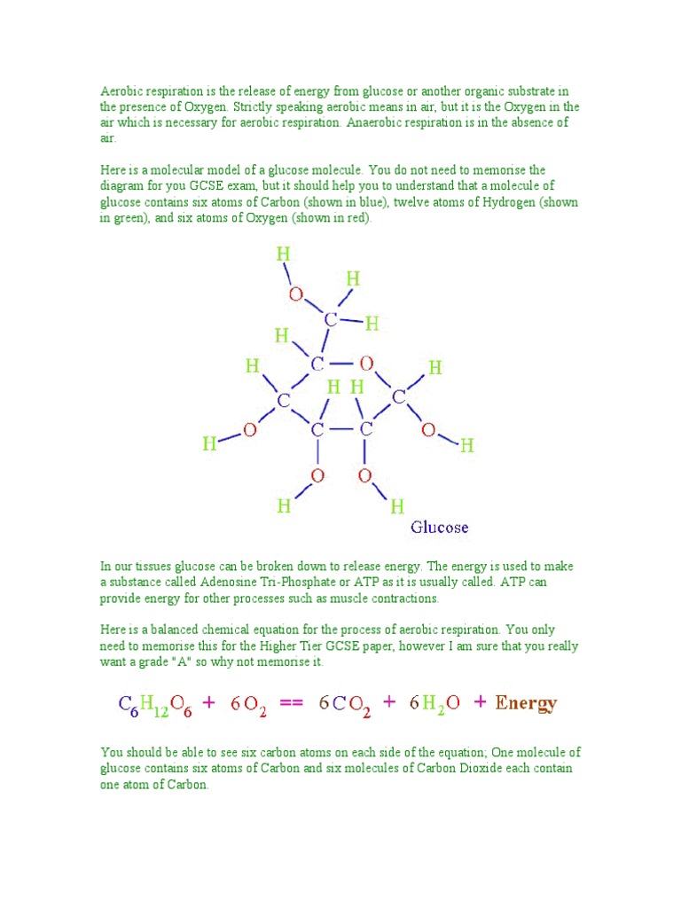 GCSE Biology: Aerobic Respiration Basics | PDF | Language Arts ...