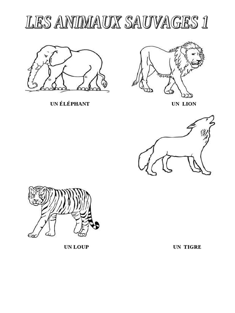 Animaux sauvages : coloriage et apprentissage | PDF