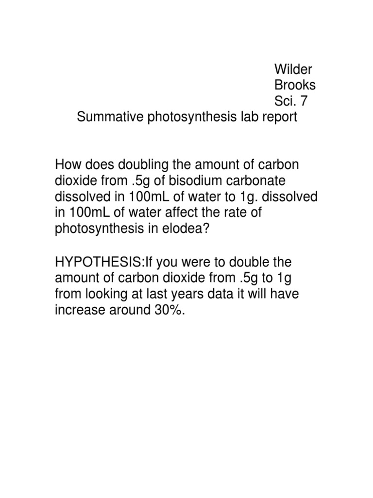Summative Photosynthesis Lab Report | PDF | Photosynthesis | Carbon Dioxide
