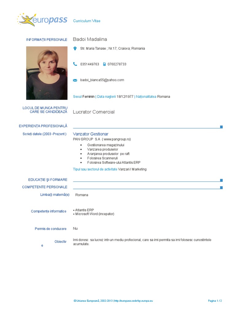Obiectiv Profesional pentru CV | PDF | Computers