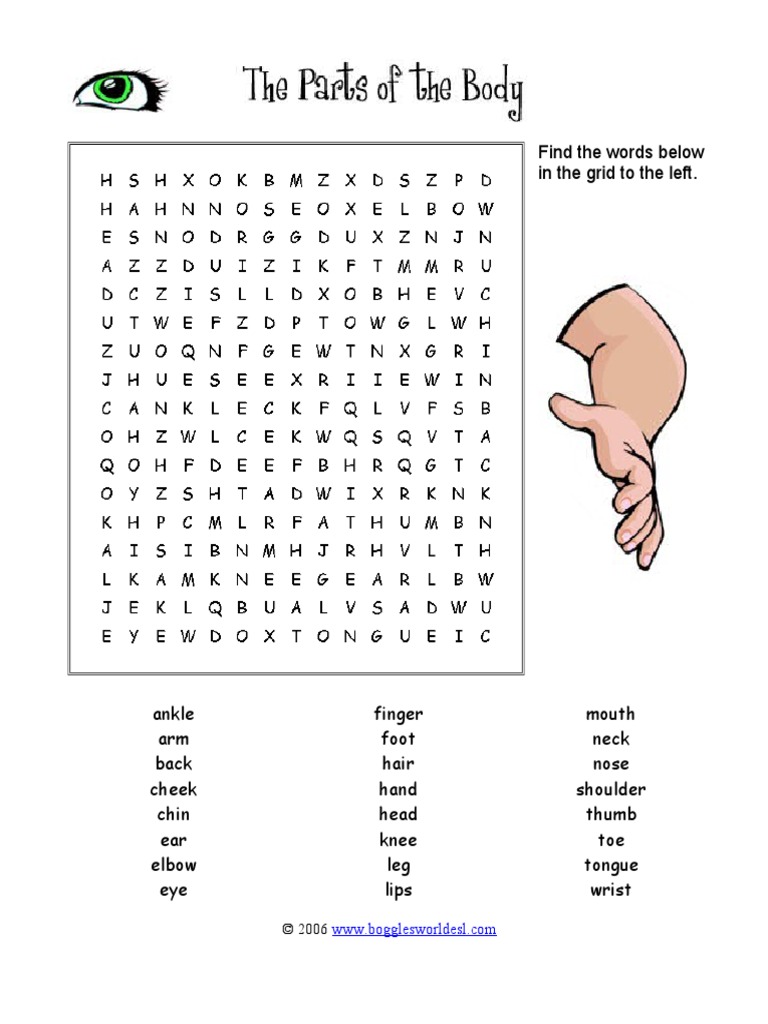 Body Parts Word Search Puzzle | PDF