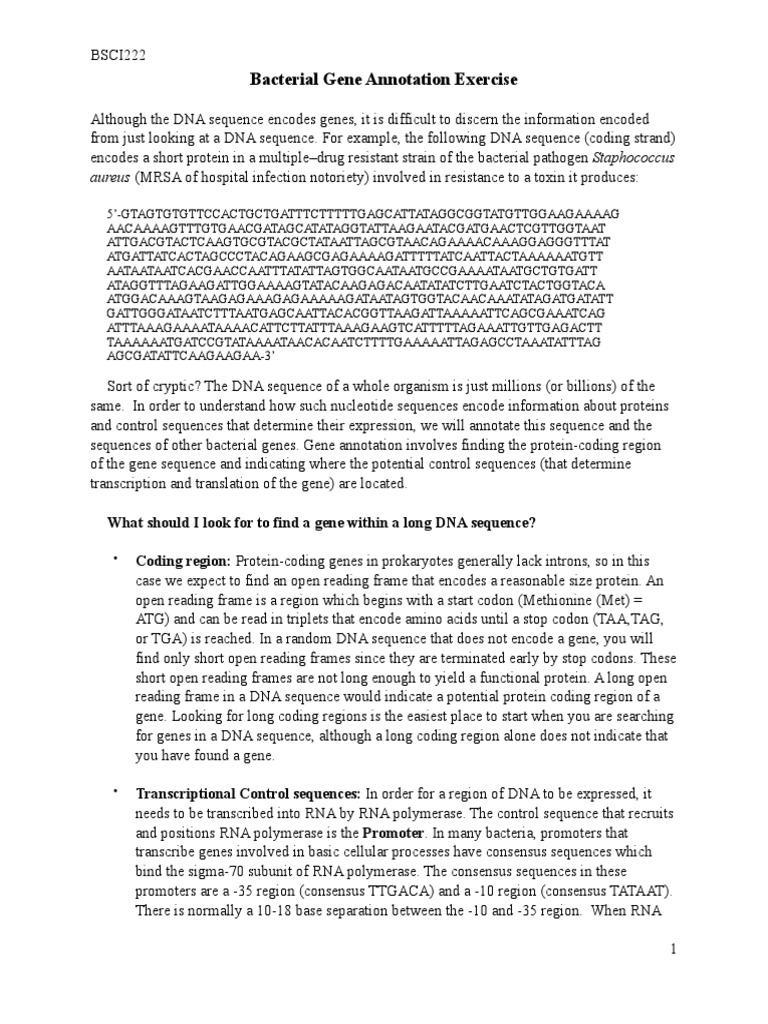 Bacterial Gene Annotation | PDF | Directionality (Molecular Biology ...