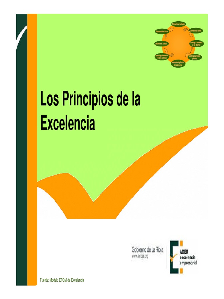 Principios de La Excelencia | PDF | Crecimiento personal y profesional ...