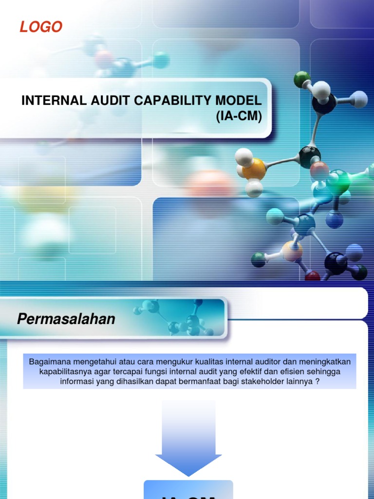 Internal Audit Capability Model | PDF