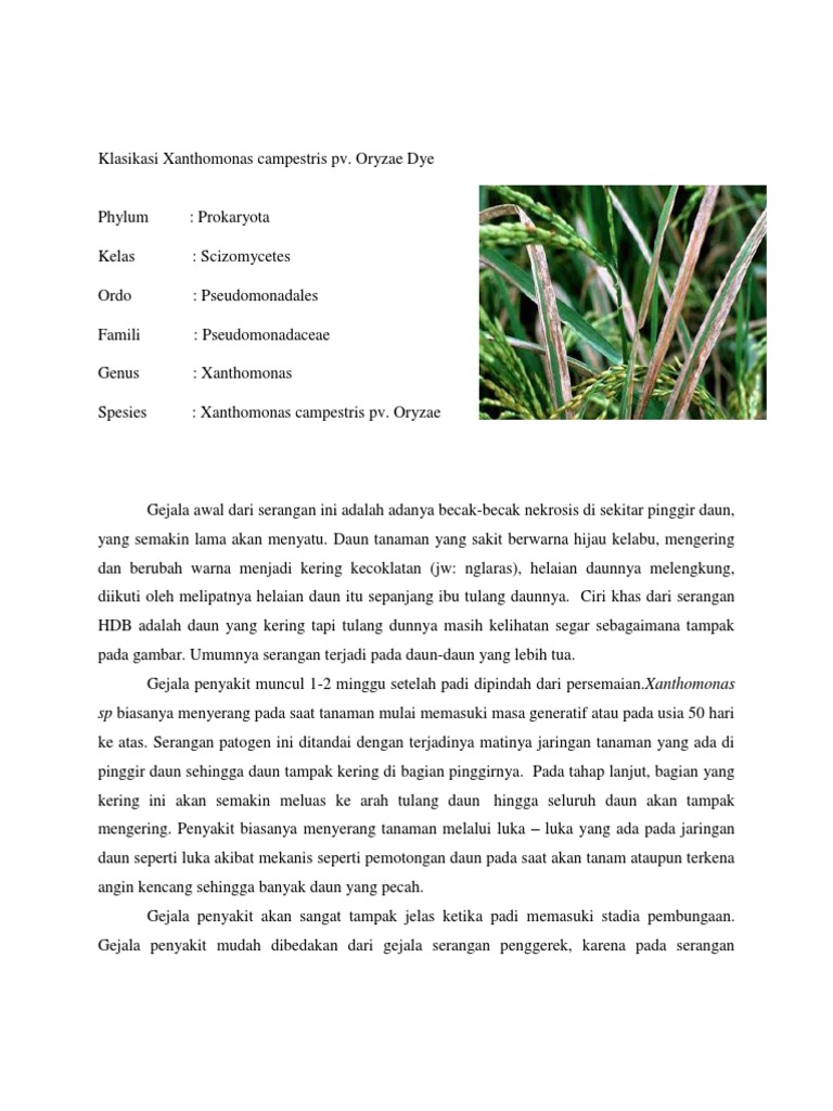 Tiket Masuk Praktikum Ipt 2 | PDF