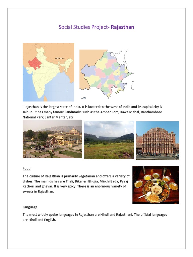 Social Studies Project | PDF