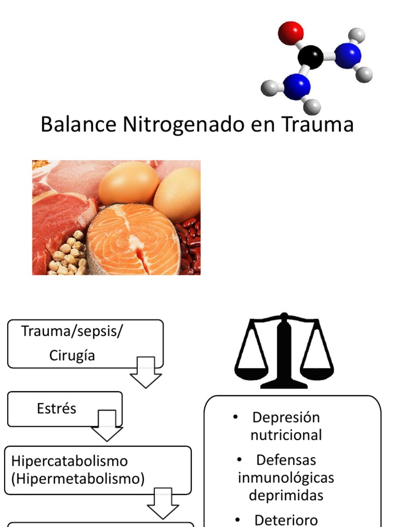 Balance Nitrogenado en Trauma | PDF | Proteínas | Nutrición