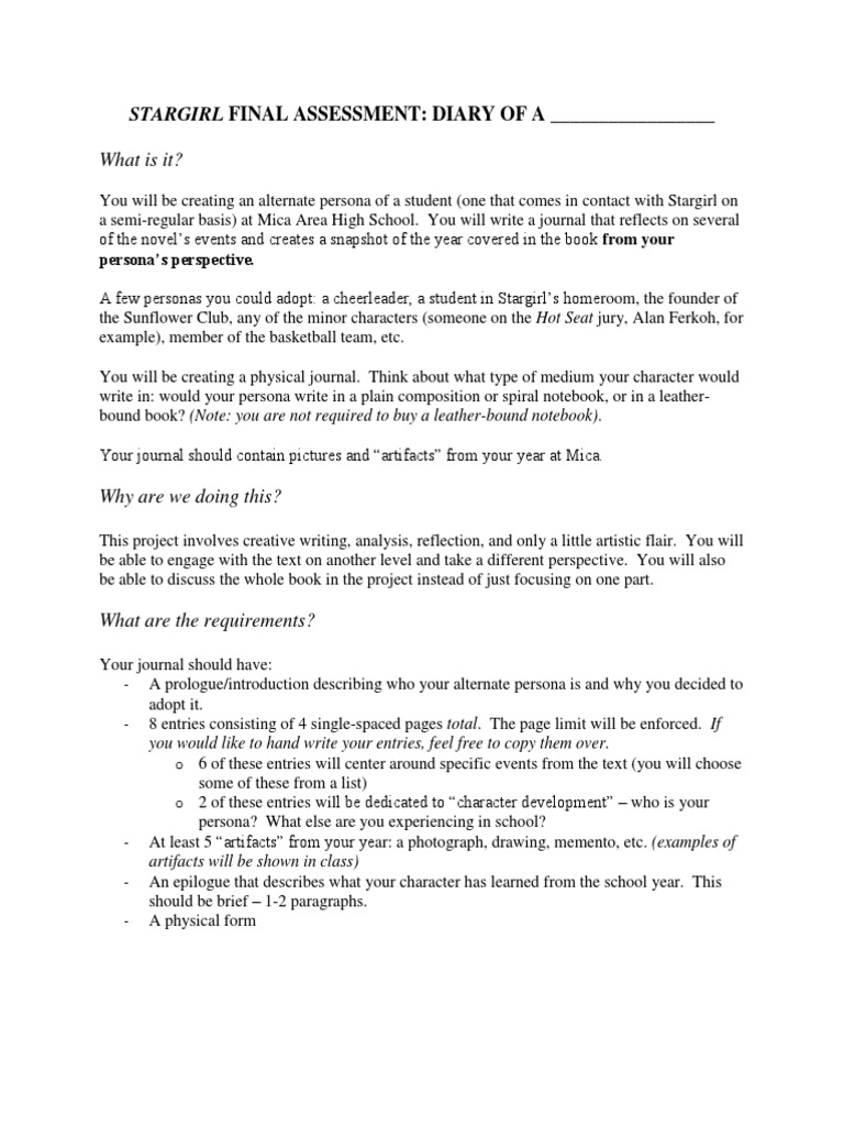 Stargirl Final Assessment | PDF | General Fiction