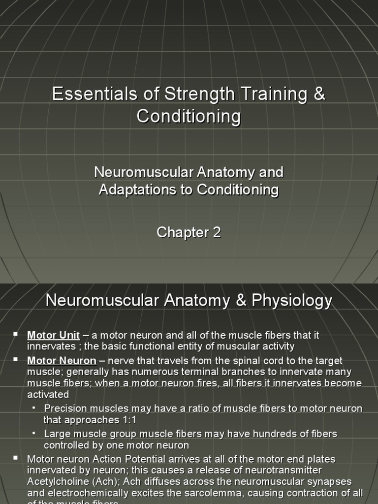 Essentials of Strength Training & Conditioning | PDF | Motor Neuron ...
