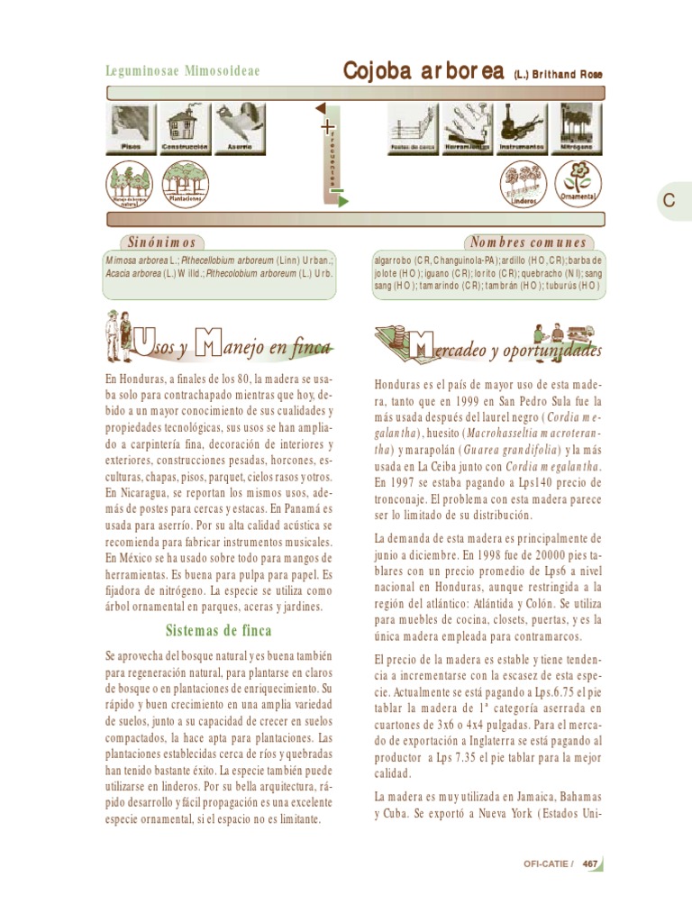 Cojoba Arborea | PDF | Arboles | Centroamérica