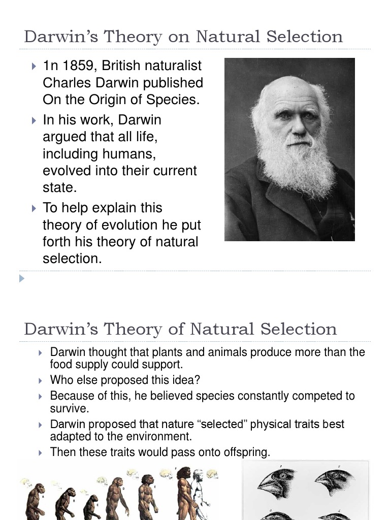 Understanding Social Darwinism | PDF