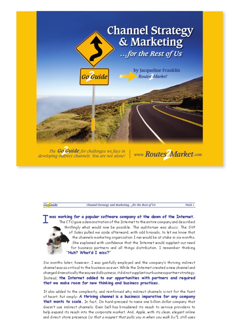 Route To Market Strategy | PDF | Sales | Marketing