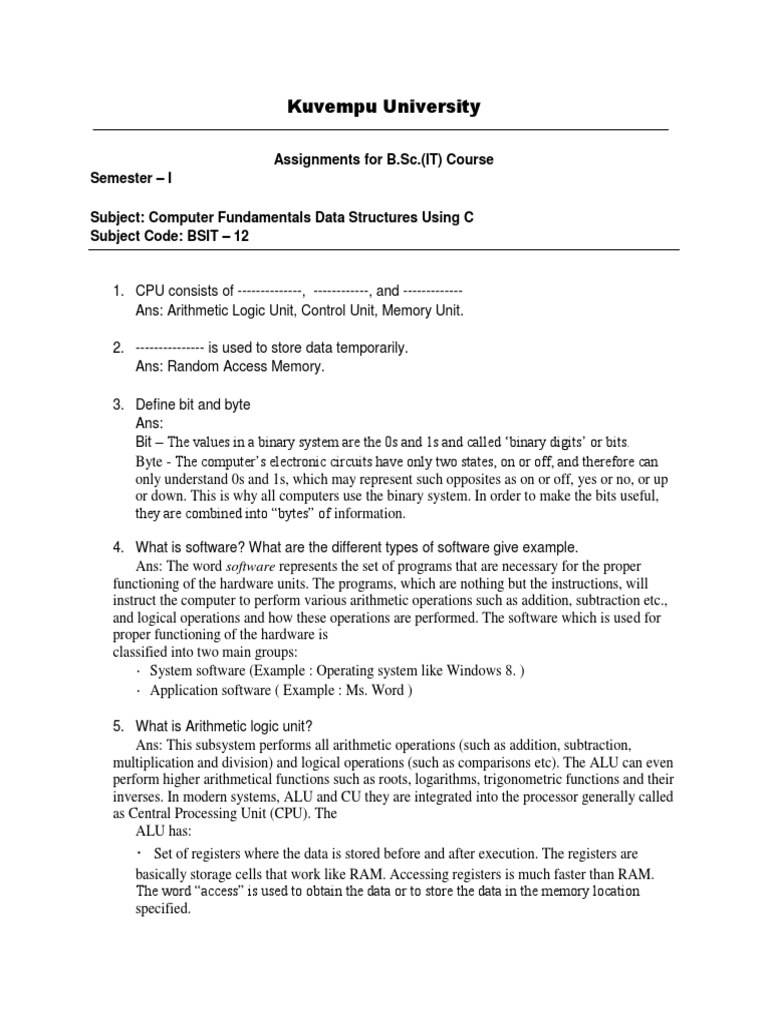 BSIT 1st Semester Paper 2 | PDF | Random Access Memory | Central Processing Unit