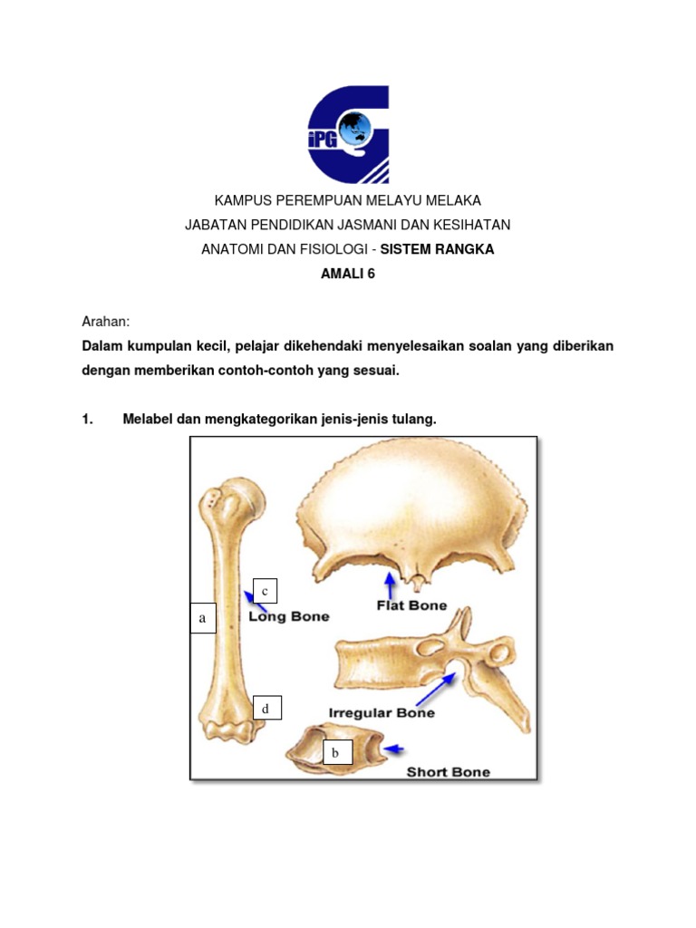 Amali 6 - Sistem Rangka | PDF
