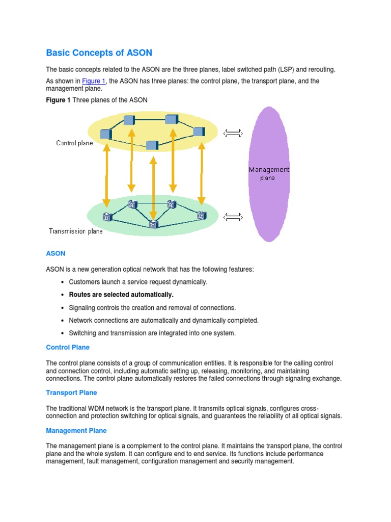 Basic Concepts of ASON | PDF | Wavelength Division Multiplexing ...