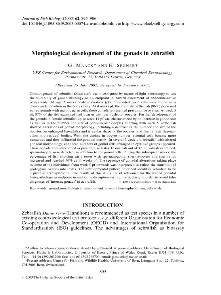 Morphological Development of The Gonads in Zebrafish (Maack y Senger ...