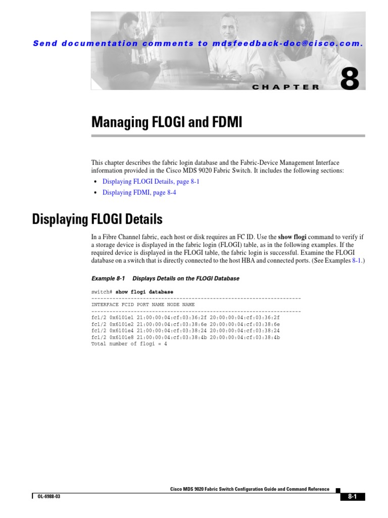 Displaying Device Information Using FLOGI and FDMI on Cisco MDS ...