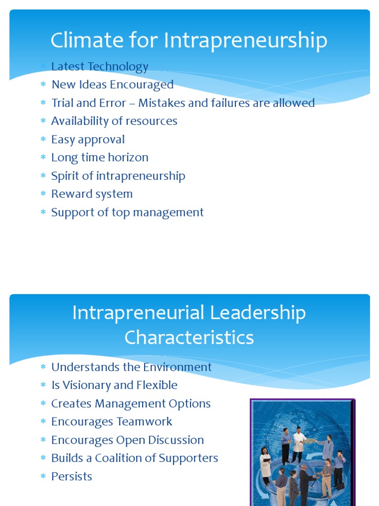 Climate For Intrapreneurship | PDF | Startup Company | Small Business ...