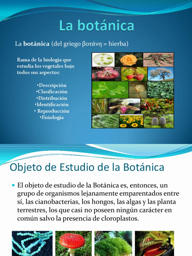 La Botánica | PDF | Botánica | Plantas