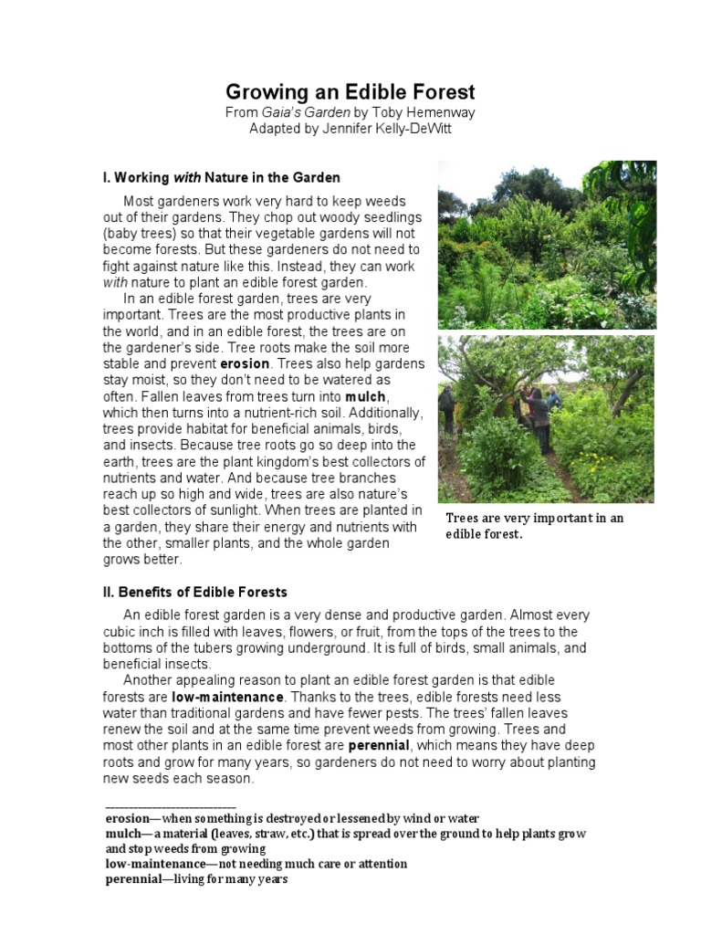 Growing A Food Forest | PDF | Trees | Weed
