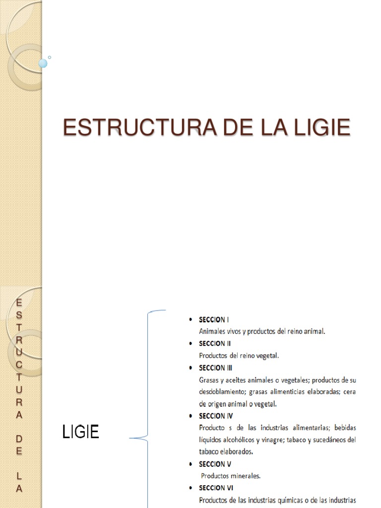 Ligie Estructura | PDF