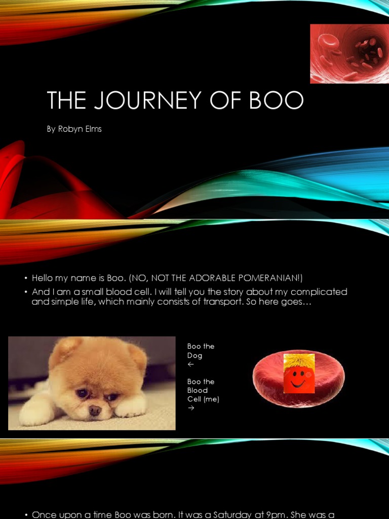 The Journey of Boo Powerpoint | Download Free PDF | Atrium (Heart) | Heart