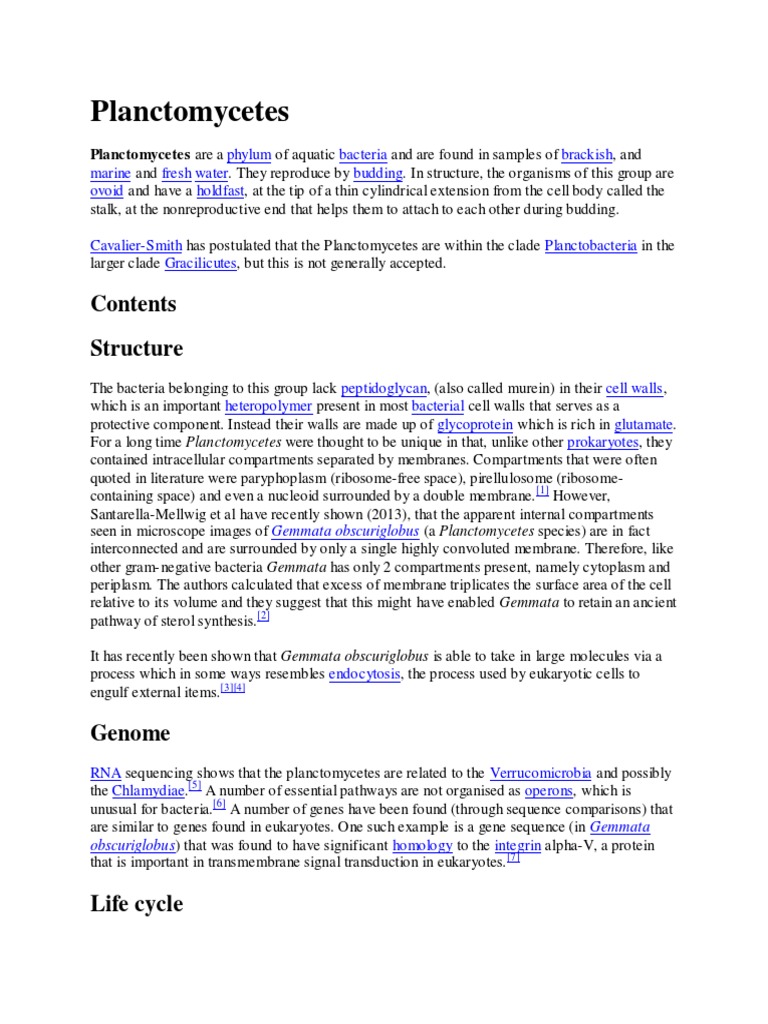 Planctomycetes | PDF | Cell Biology | Biology