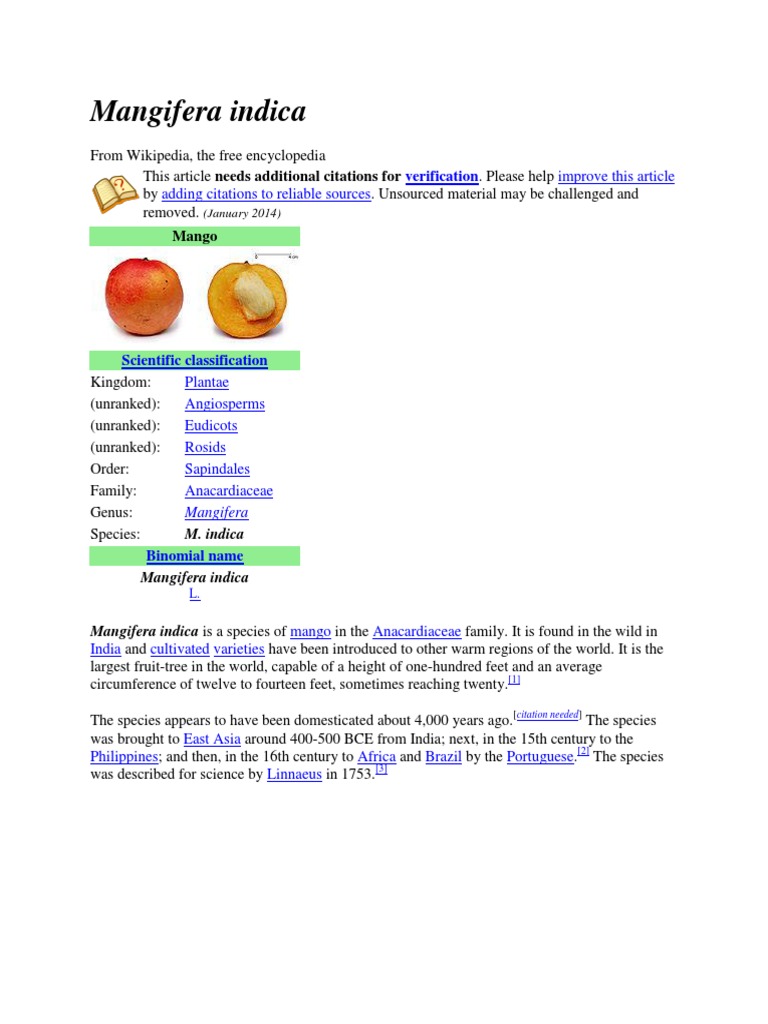 Mangifera Indica | PDF | Horticulture And Gardening | Plants