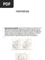 Tacto Obstétrico y Ginecológico | PDF | Vagina | Parto