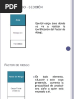 Piramide de Control de Riesgos | PDF | La seguridad | Riesgo