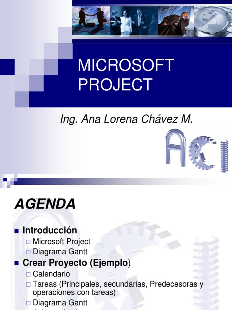 Microsoft Project | PDF