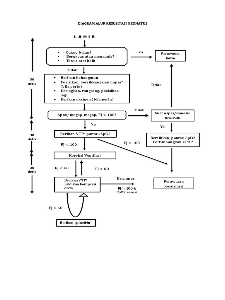 Diagram Alur Resusitasi Neonatus | PDF