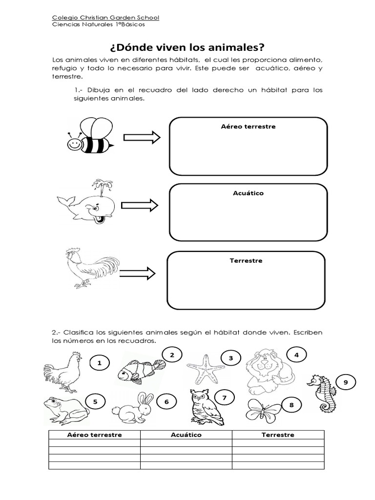 Donde Viven Los Animales 1º Básico | PDF | Ciencias sociales | Hogar ...