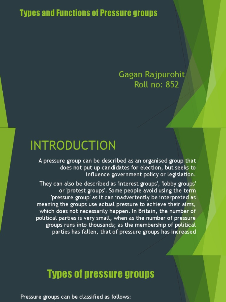 Functions and Types of Pressure Groups | PDF | Advocacy Group | Trade Union
