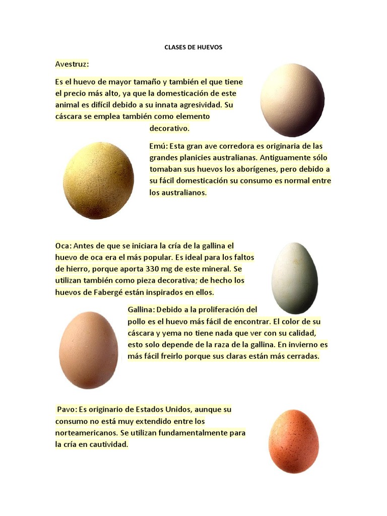 Clases de Huevos | PDF | Naturaleza | Science