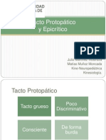 PALESTESIA Definicion y Exploración | PDF | Mano | Sistema ...