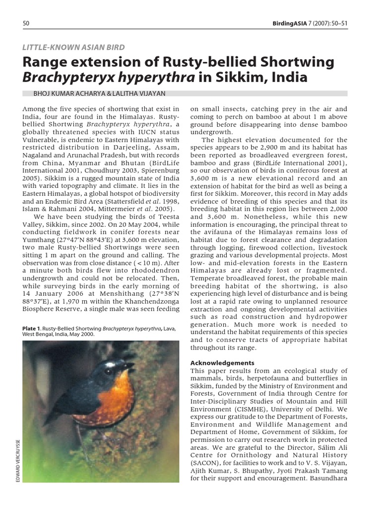 Rusty Bellied Shortwing | PDF | Himalayas | Environmental Protection
