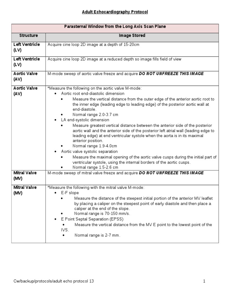 Adult Echocardiography Protocol 13 | PDF | Heart Valve | Ventricle (Heart)