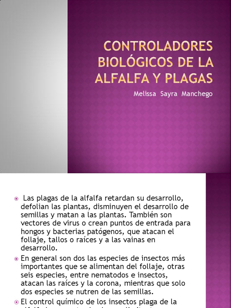 Plagas de la alfalfa y sus estrategias de manejo | PDF | Insectos | Alfalfa
