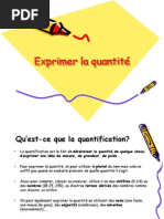 Expressions de quantité en français | PDF | Nombre grammatical | Pronom