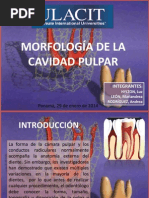 Clasificacion de Vertucci | PDF | Diente | Anatomia dental