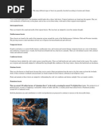 Rain Forest Creative Writing | Rainforest | Trees